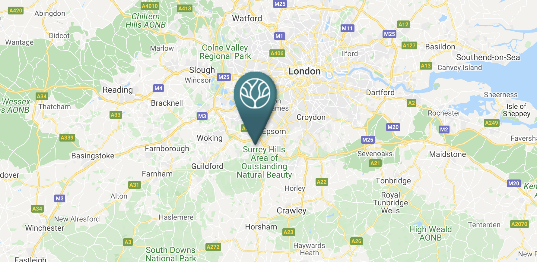 Great crested newts | The Ecology Partnership | Independent Ecology ...