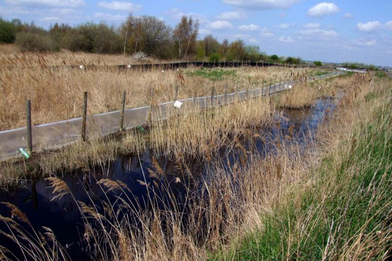 Preliminary Ecological Appraisal | The Ecology Partnership ...