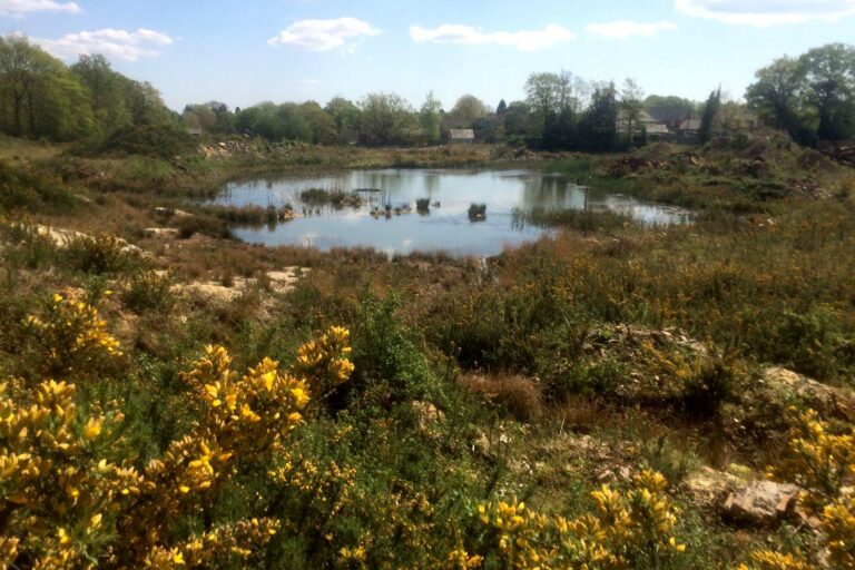 Landscape and Ecological Management Plans | The Ecology Partnership ...