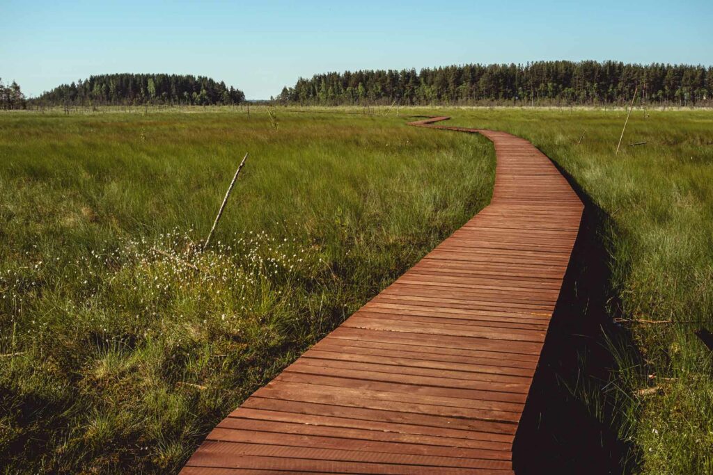 Preliminary Ecological Appraisal | The Ecology Partnership ...